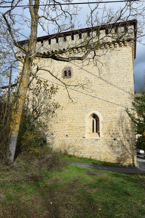 Kexaa: Aiararren habia - Aiaraldea - Alea.eus